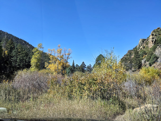 Fall's golden touch transforms Cimarron Canyon into nature's art gallery, no admission fee required!