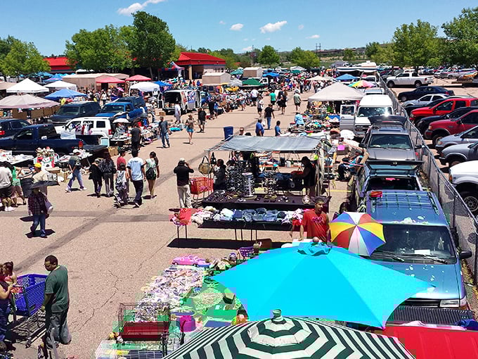 Where cars and commerce meet under open skies. The parking lot itself is a patchwork quilt of potential stories.