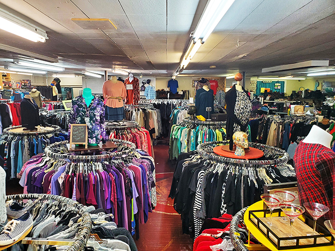 Inside Divine Finds, treasures await organized by careful hands. Marie Kondo would approve of this joyful thrift experience!