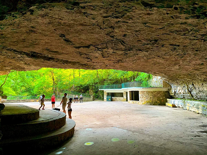 Step inside Dunbar Cave and you're walking through pages of prehistory where walls whisper thousand-year-old secrets.