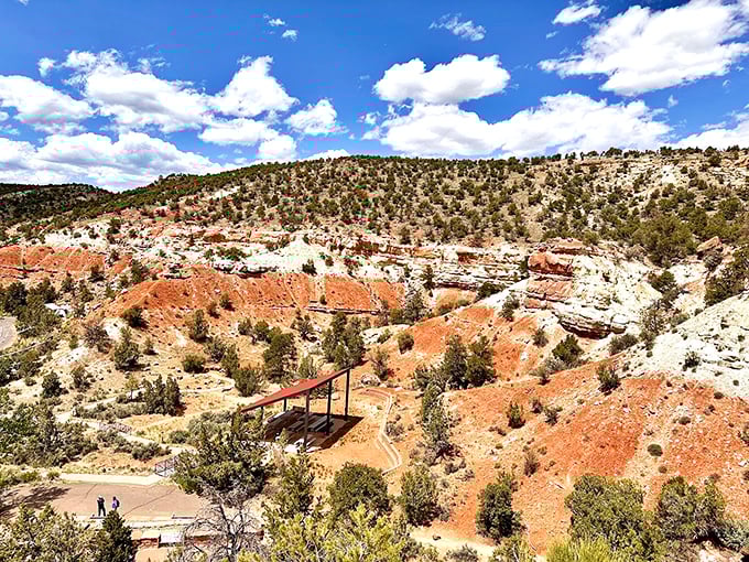 Escalante Petrified Forest: Where time stands still and rocks tell stories older than human civilization. Simply breathtaking!