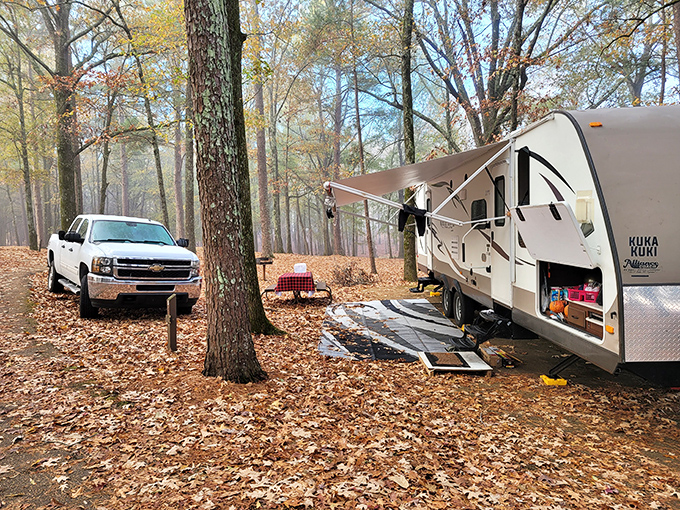 Grenada Lake stretches to the horizon at George P. Cossar State Park. That view is worth the trip alone! 