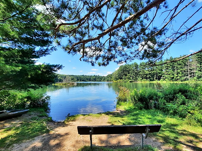 A lakeside bench at Hartman Creek offers front-row seats to Wisconsin's most peaceful water show. 