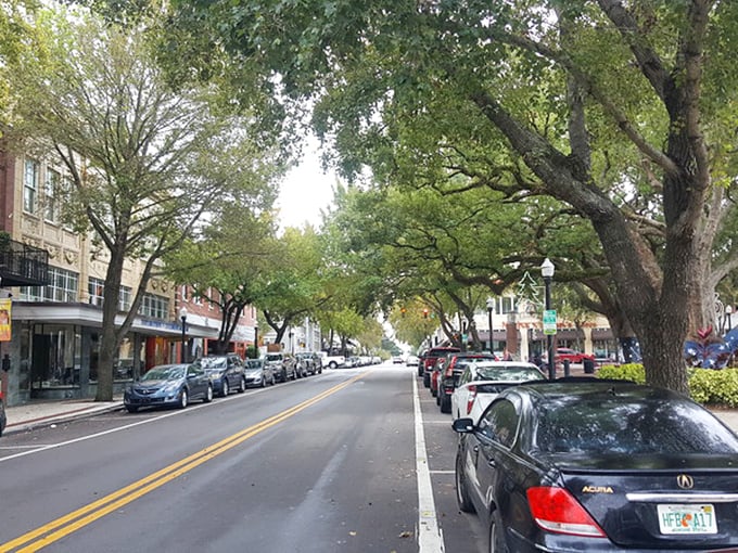 Lakeland's tree-lined main street offers that increasingly rare small-town feel where you might actually bump into someone you know at the local caf&eacute;.
