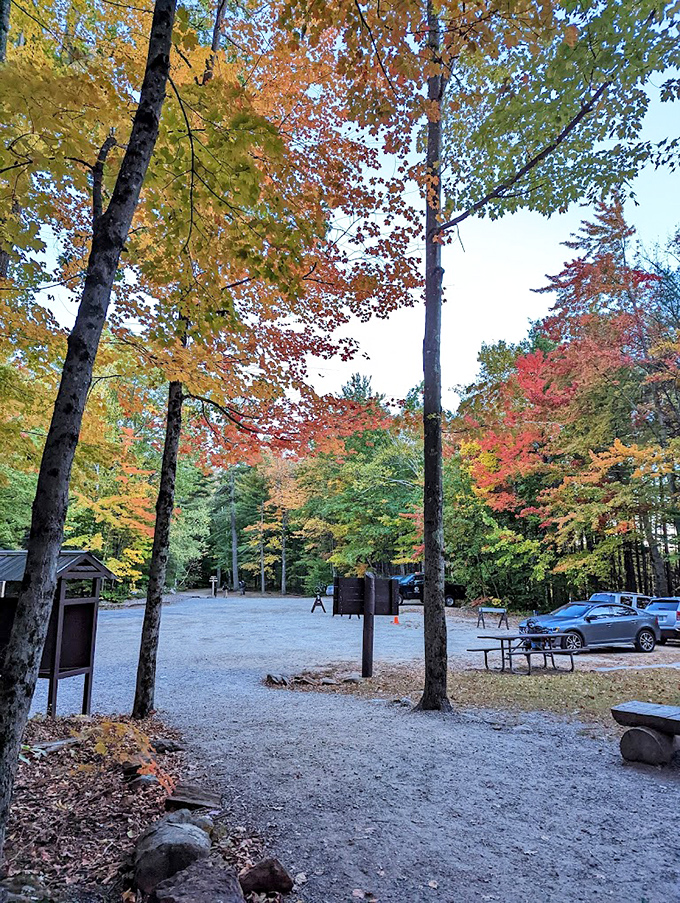 Fall at Monadnock paints the landscape in nature's favorite colors. Mother Nature showing off her interior design skills!