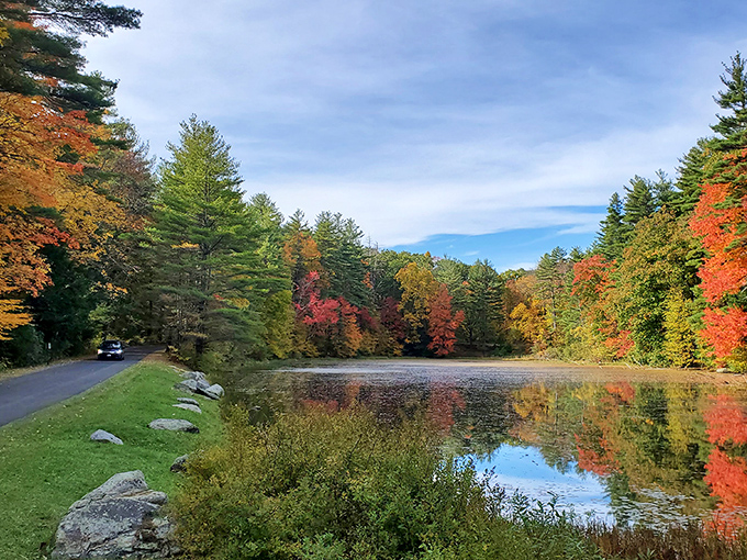 A serene Norfolk pond reflects autumn's glory. Nature and affordability&mdash;a perfect combination!
