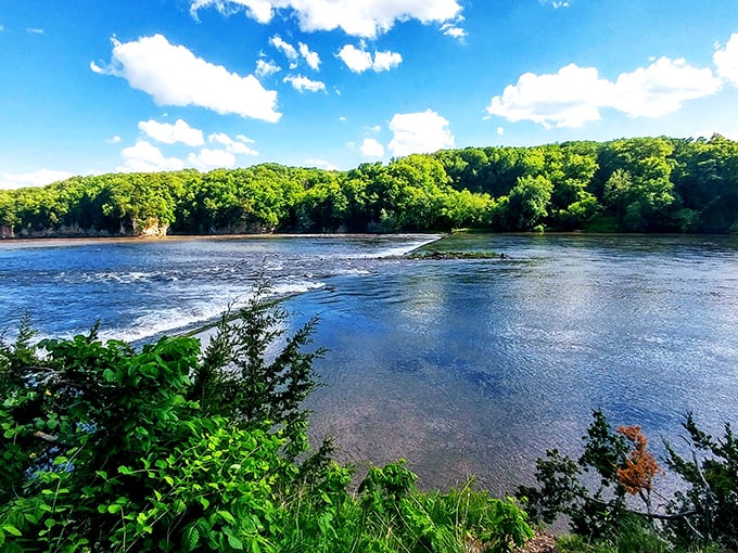 4b. palisades kepler state park (mount vernon)