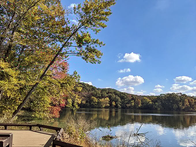 Radnor Lake in fall &ndash; where trees dress in their Sunday best and water provides the perfect mirror.