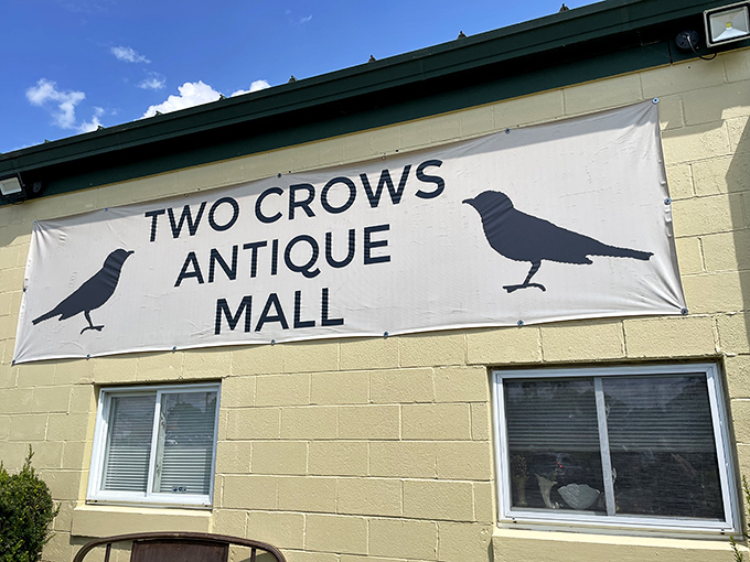 Those two crow silhouettes aren't just cute branding &ndash; they're sentinels guarding a nest of collectible treasures inside.