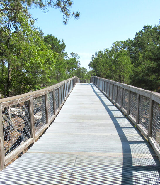 5 mile trail delaware ftr