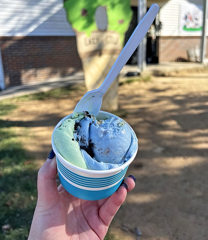 Two scoops, two colors, one mission: to make you forget about your diet faster than you can say "just a small one."