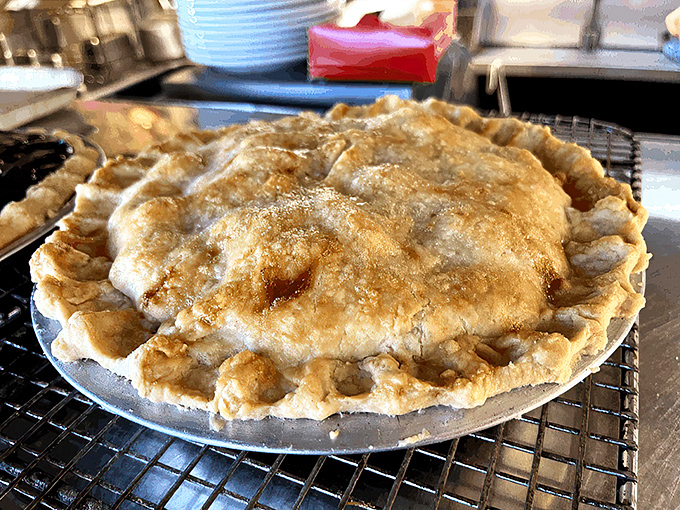 Golden-brown paradise under a vented dome &ndash; this apple pie wasn't made to be photographed for social media, but to be devoured by real people.