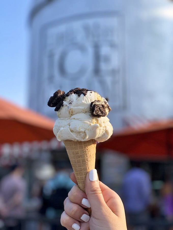 Banana Pudding ice cream that would make your grandmother both proud and jealous. Creamy nostalgia served with a side of milk can backdrop.