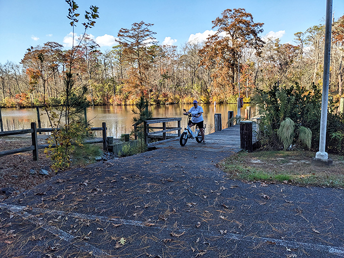 Cycling along the riverbank in fall feels like pedaling through a living postcard, complete with cypress trees dressed in their seasonal best.