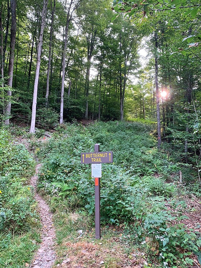 The Butternut Trail beckons with promises of adventure. That little yellow sign might as well say "This Way to Memories Worth Making." 