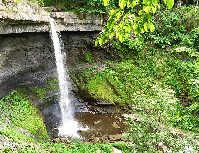 Carpenter Falls cascades dramatically through lush greenery, offering nature's version of a shower massage that's worth the hike to witness.