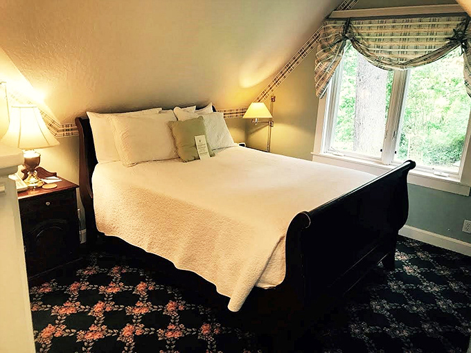 A canopy bed fit for royalty, or at least someone who wants to feel royal while scrolling Instagram in their pajamas. 