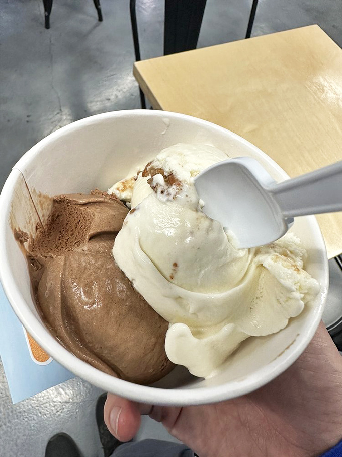 A perfect pairing: strawberry and chocolate ice cream sharing a cup like old friends catching up. Some relationships are simply meant to be.