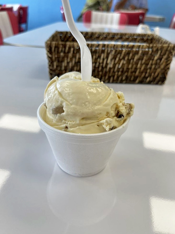 Cookie dough ice cream that actually tastes like someone's grandma made it. The chunks aren't shy, and neither should you be about ordering seconds.