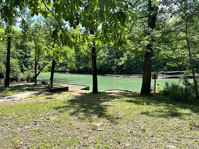 Nature's swimming pool without the chlorine. This serene spot along Fleming Creek offers the perfect mid-journey cool-down on hot Arkansas days.