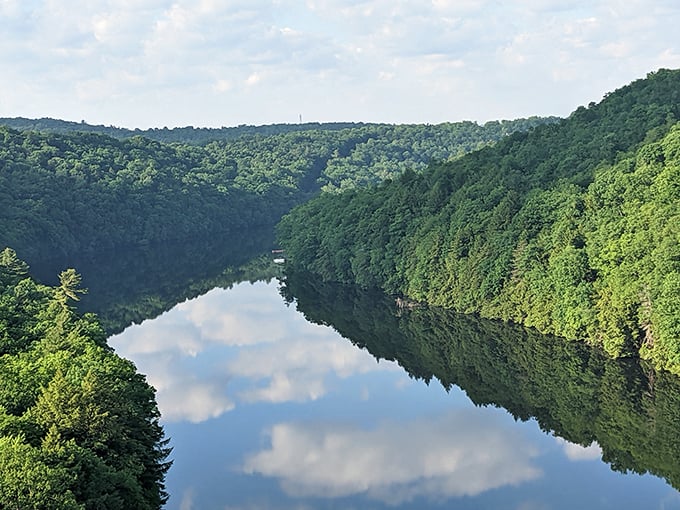 The Green River carves through limestone bluffs like nature's own sculpture garden. This mirror-like surface has been reflecting Kentucky skies since before Kentucky was Kentucky.