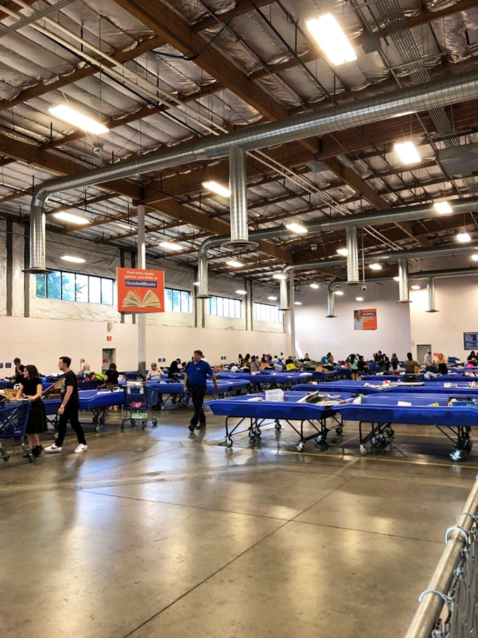 The glass display case: where vintage perfumes, collectible figurines, and jewelry await their second chance at making someone smile. 