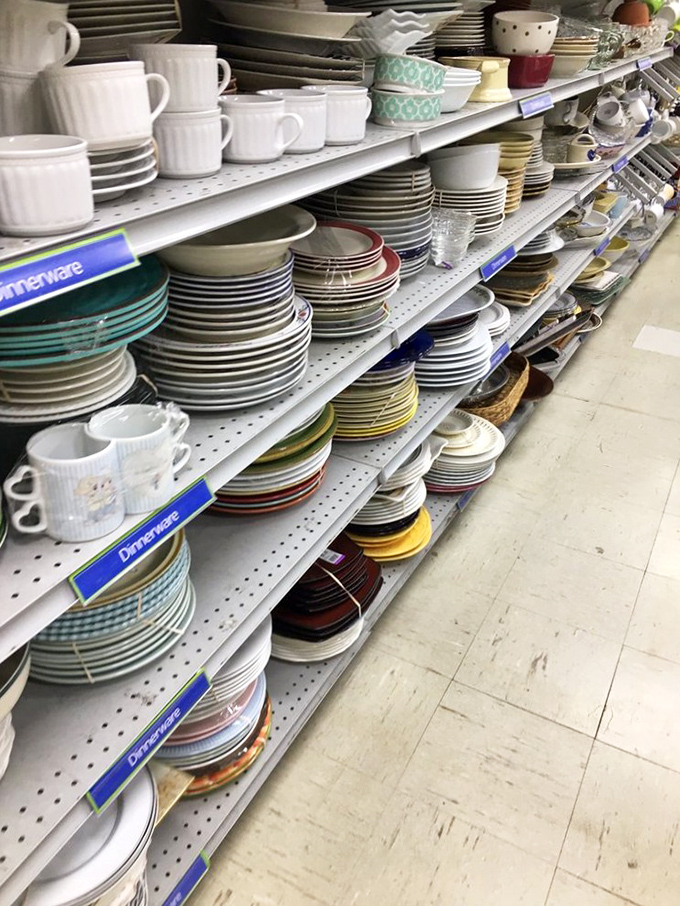 Dinnerware heaven awaits the patient browser. Enough plates to serve a small army or replace every dish you've broken since college.
