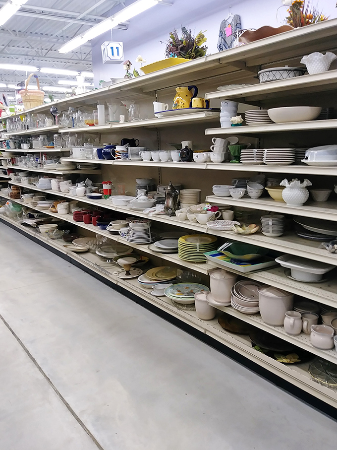 Dish paradise! One person's castoff casserole dish is another's vintage centerpiece. Marie Kondo's nightmare is a collector's dream come true.