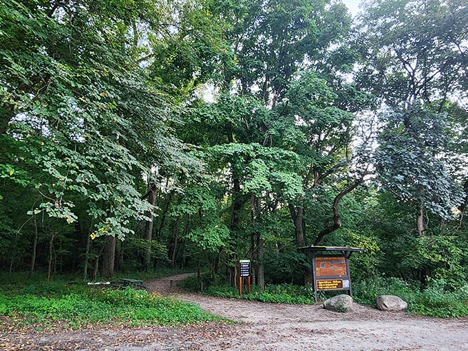 This trail entrance promises the kind of leafy escape that makes you forget your phone password&mdash;and reminds you why that's sometimes exactly what you need.