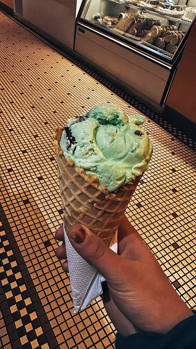 Mint chocolate chip that actually tastes like fresh mint leaves, not toothpaste! The chocolate chunks snap with satisfying authority between your teeth.