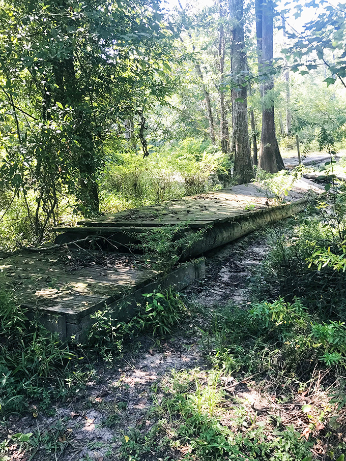 This weathered wooden walkway seems to whisper, "Step right up for your journey into the paranormal." No ticket required, but courage recommended.