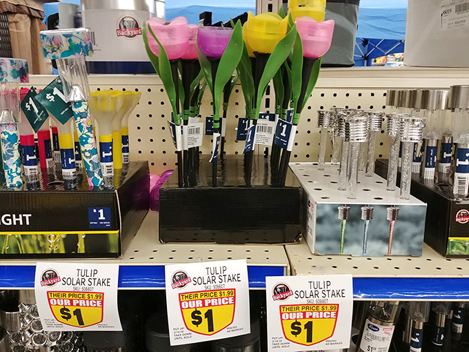 Solar-powered garden tulips that bring spring year-round without the watering commitment. Gardening for the commitment-phobic! 