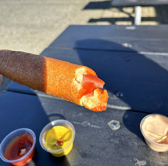 The cross-section reveals the magic&mdash;a perfect hot dog surrounded by that signature golden batter, ready for a squiggle of mustard.