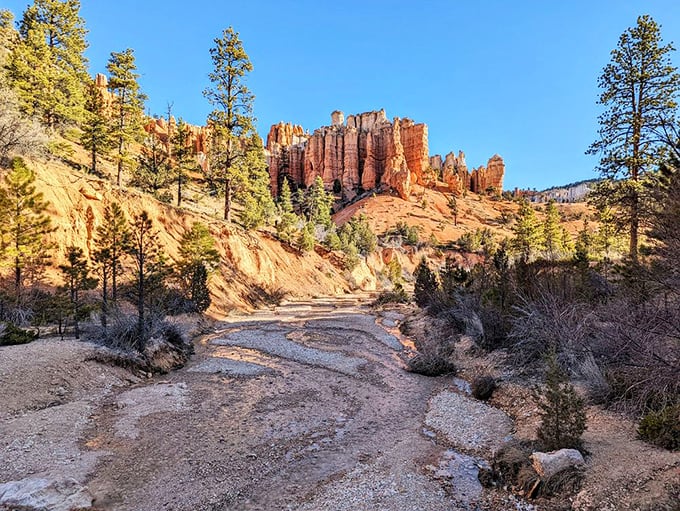 Nature's shower system on full display! This waterfall doesn't care about water conservation&mdash;it's putting on a show worthy of Vegas.