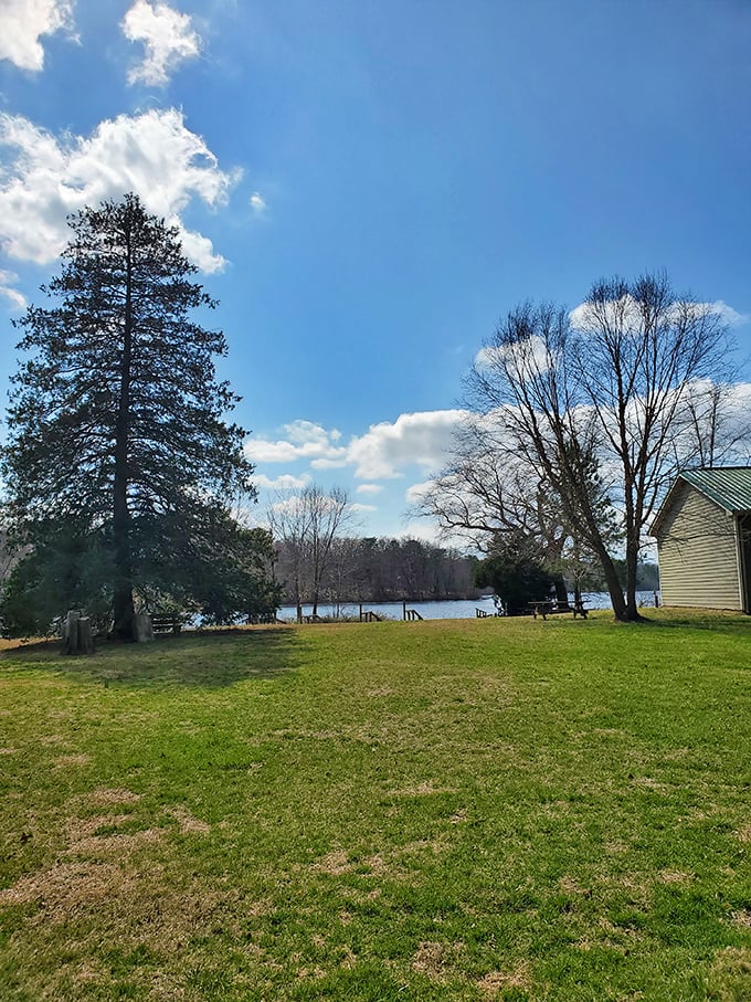 Wide open spaces and towering trees frame the pond's edge, offering that rare commodity in modern life: room to breathe.