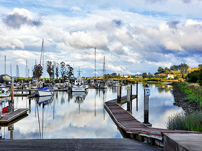 The Petaluma Marina: where boats gently bob in perfect reflection, making you wonder why you've spent so many weekends at crowded shopping malls.