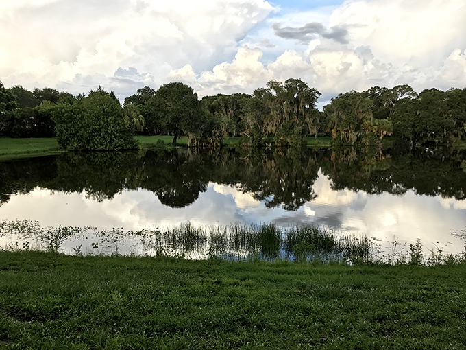 Mirror-like waters reflect Florida's endless sky at Phillippi Creek, offering a tranquil escape just steps away from Pinecraft's bustling community center.