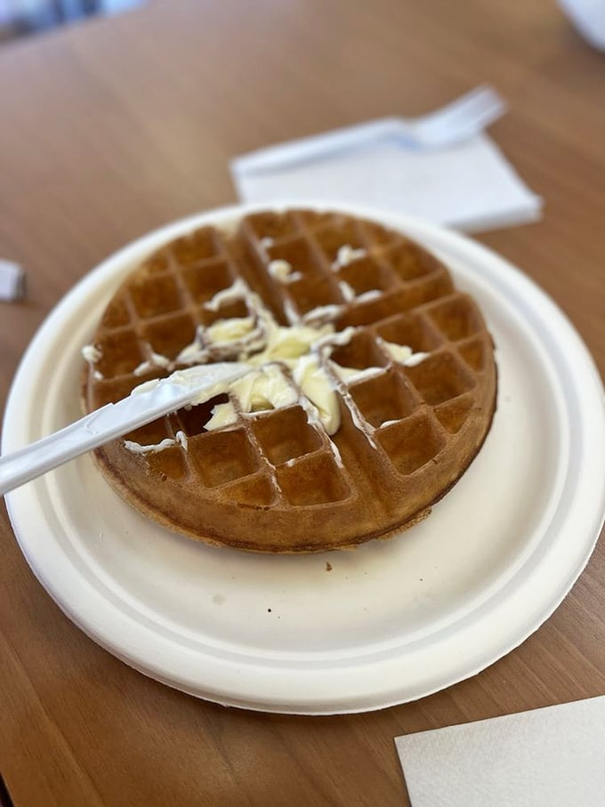 The classic Belgian waffle awaits its destiny—will it be butter and syrup, or something more adventurous? The canvas is ready; your appetite is the artist.