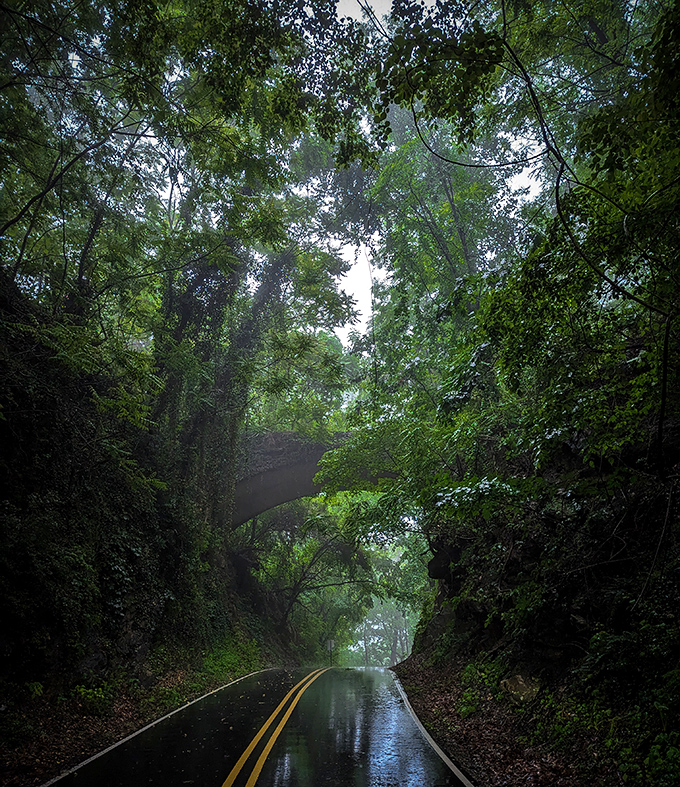 Rain-slicked pavement reflects the bridge above, doubling the eerie factor. Stephen King couldn't have designed a more atmospheric scene.