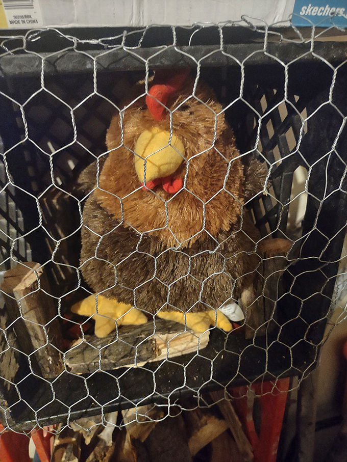 This honey-colored turkey plush toy, safely corralled behind chicken wire, silently pleads for adoption into a home where stuffed animals reign supreme.