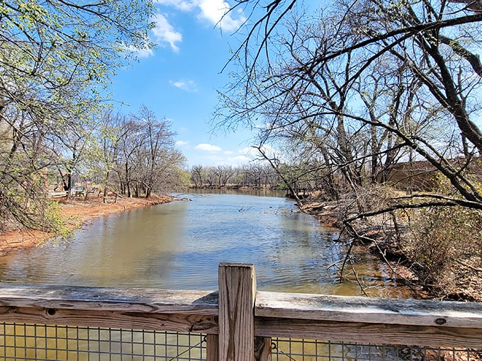 Water brings landscapes to life, reflecting both sky and soul. This tranquil river view offers twice the beauty with its mirror-perfect surface.