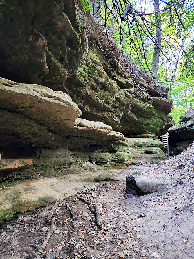Ancient sandstone formations tell Earth's story in geological chapters. These moss-kissed rocks have been patiently waiting for your visit since the Ice Age.