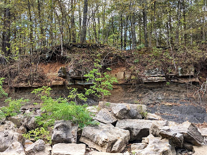 These ancient limestone formations tell Earth's story better than any textbook&mdash;each layer a chapter from millions of years before humans arrived.