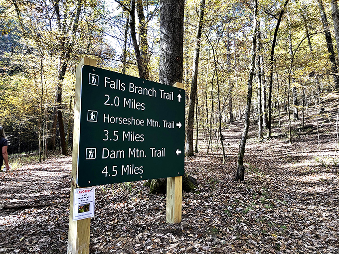 Choose your own adventure! Like a menu at a five-star restaurant, but the specials are waterfalls and mountain views.