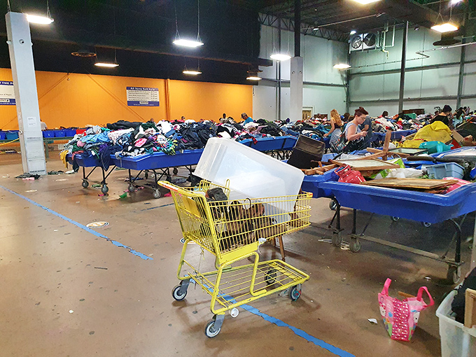 The thrifter's version of Willy Wonka's factory&mdash;endless rows of possibility. Just swap chocolate rivers for blue bins and Oompa Loompas for bargain hunters.