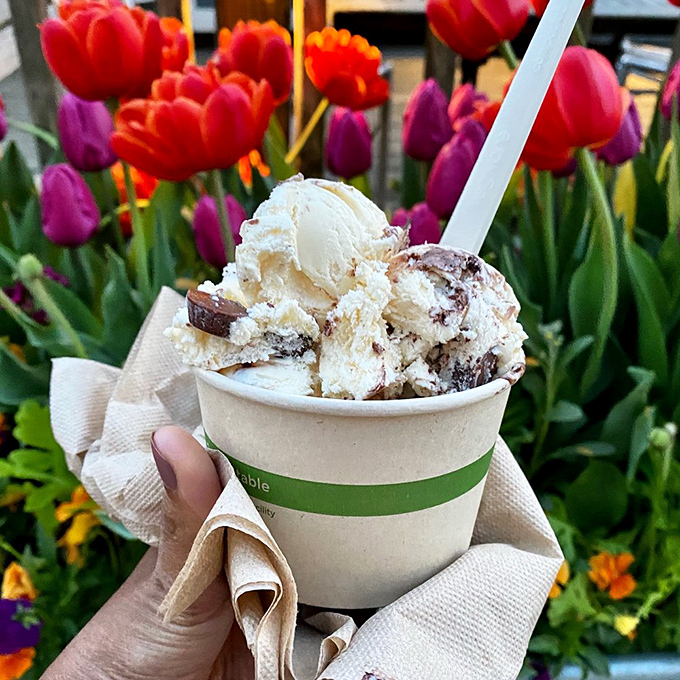 When spring tulips frame your ice cream moment, you know you've discovered one of life's perfect combinations.