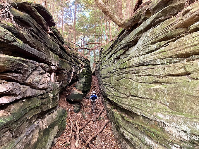 These ancient rock formations are like nature's skyscrapers &ndash; built over millions of years without a single construction delay or permit issue.