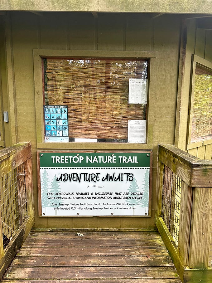 Adventure Awaits isn't just clever marketing&mdash;it's the genuine promise of six unique enclosures, each with stories more fascinating than most reality TV.