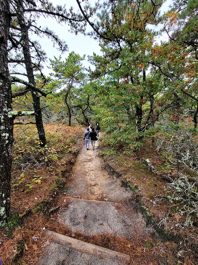 Like meeting an old friend who's aged well, the trail welcomes you with a gentle curve and the promise of woodland secrets ahead.