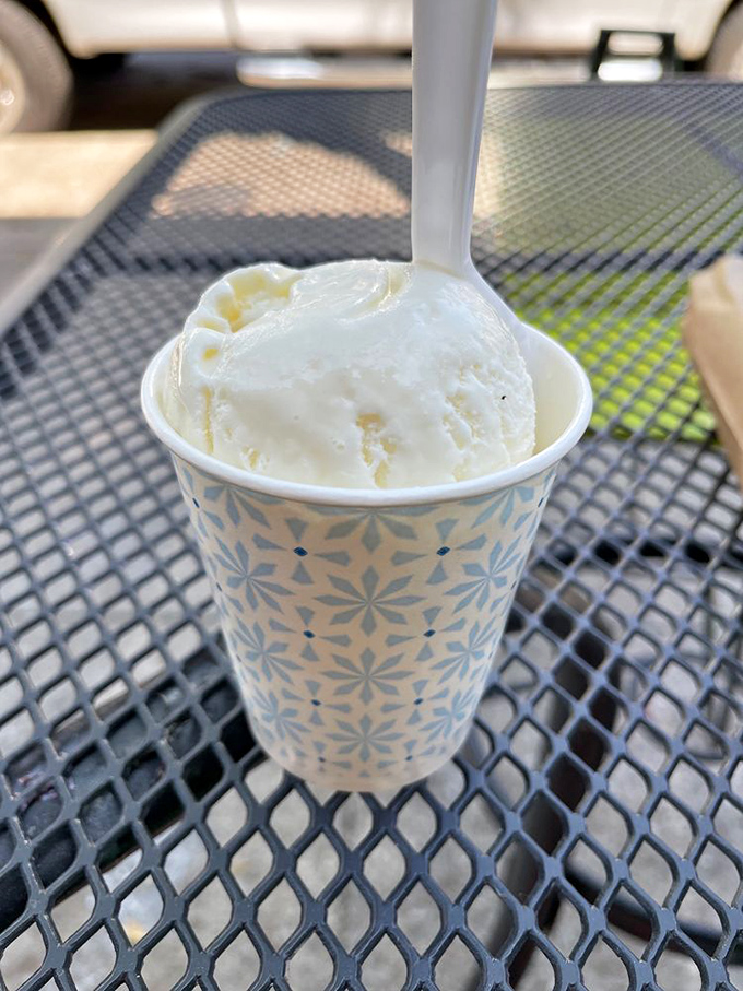 Simple yet profound - a classic vanilla scoop that reminds you why sometimes the original remains undefeated in the flavor championship.